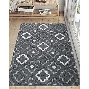 DEXI Door Mats Indoor, Absorbent Non Slip Front Door Rugs for Inside House, Low Profile Easy Clean Entrance Mat, 48"x32", Grey