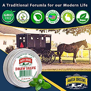 Drawing Salve Ointment 1oz, ingrown Hair Treatment, Boil & Cyst, Splinter Remover, Bug and Spider Bites, bee Sting, Mosquito bite Itch Relief, Poison Ivy, by Owell Naturals