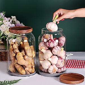 SAIOOL 1 Gallon Glass Jar with Wooden Acacia Airtight Lid,Large Glass Storage Jar set of 2, BPA-Free Cereal Dispenser Jars for flour,Spaghetti Pasta, Powder, Tea, Coffee