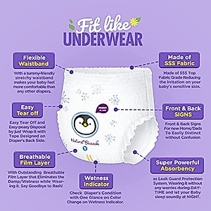 Natural Blossom Easy Pull-up Diaper Pants | Size (5) 3T-4T (26-37 lbs) | 88 Count (22ea*4packs) | Vegan - Super Soft - Hypoallergenic - Ultra-Slim