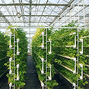 Natural Hydroponics 216Grow Nutrient Concentrate for Structural & Foliar Growth (1-Pint - Part of The Professional Nutrient System)