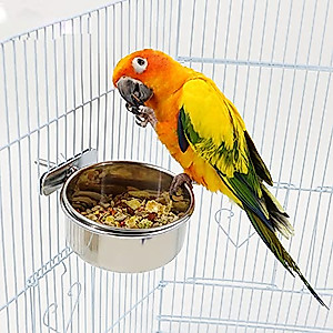 DYaprigo 3 Pack Stainless Steel Bird Feeding Dish Cups, Pet Cage Seed Feeder, Parrot Food Water Bowls with Clamp for Small Animal, Parrot Cockatiel Conure Budgies Parakeet, 3.9 Inch