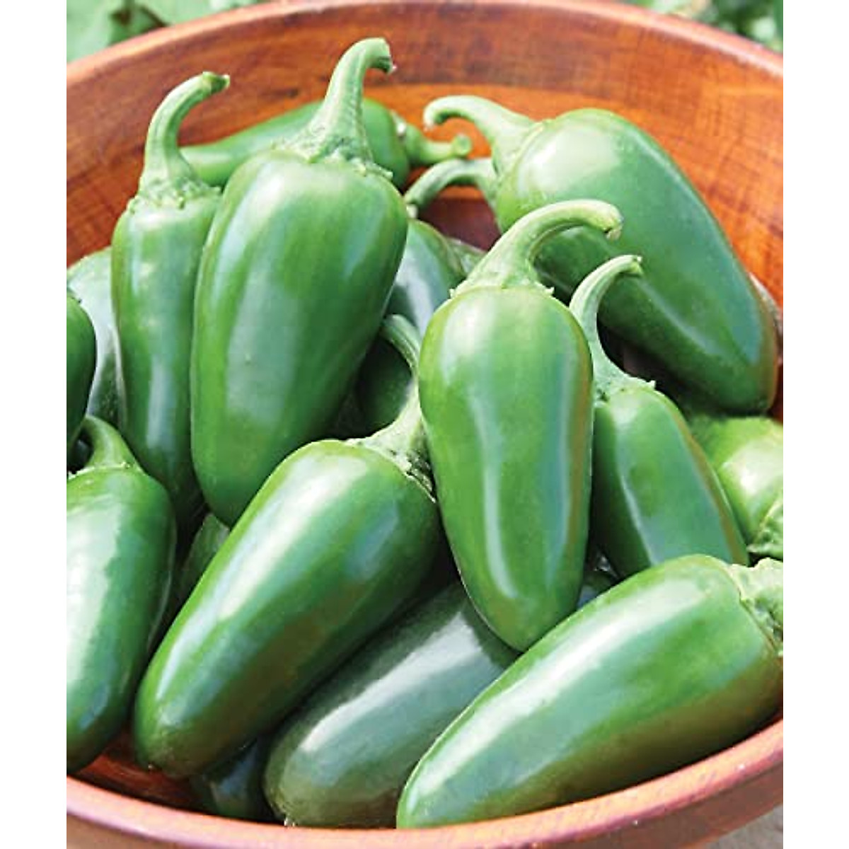 Burpee Jalapeno Early Organic Hot Pepper Seeds | 125 Non-GMO Jalapeno Pepper Garden Seeds for Planting | Heirloom Jalapeno Pepper Variety | Certified Organic Vegetable Seeds for Home Garden