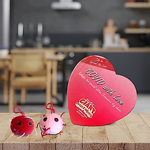 GIANTmicrobes COVID with Love Heart Box - Spread the Love with Adorable Heart Box, Includes two Special Edition Pink and Red COVID Plush Keychains