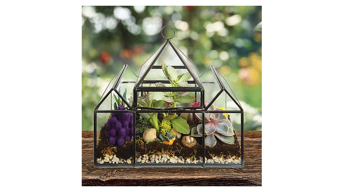 D'Eco Glass Castle Terrarium - Stylish Indoor Decor