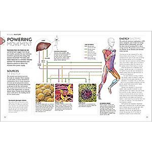 Science of Running: Analyze your Technique, Prevent Injury, Revolutionize your Training (DK Science of)