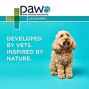 PAW Osteocare Joint Health Chews 500