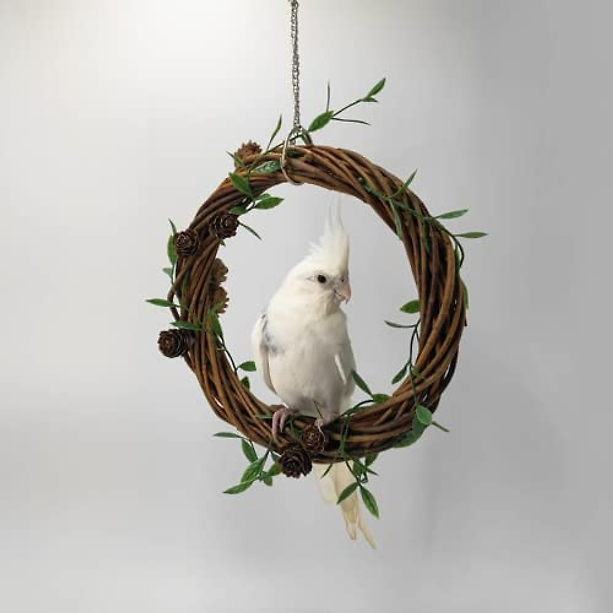 Round Bird Swing, Natural Willow Branch Chewing Bird Toys, Hanging Climbing Cage Parrot Perch Play Stands for Small Parrots Lovebirds Conures Parakeets (Large)