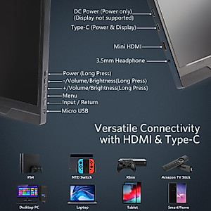 cocopar Portable Monitor - Upgraded 17.3 Inch 1080P FHD IPS HDR 100% sRGB FreeSync USB-C Gaming Monitor with Type-C Mini HDMI for Xbox PS4 Laptop PC Mac Surface, VESA mountable