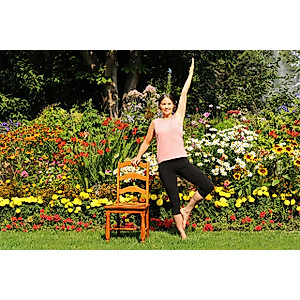 Yoga for Seniors with Jane Adams (2nd edition): Improve Balance, Strength & Flexibility with Gentle Senior Yoga, now with 3 complete practices.