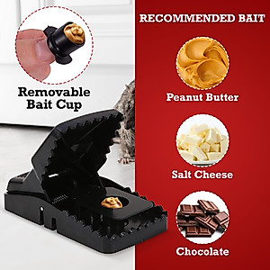 TwinTech Jaws Mouse Traps - Reusable, Sanitary, Easy-to-Use Trap for Mice and Small Rodents in Home, Kitchen, Garage, and Office Use - 4"x1.9"x2.3" - 6 Pack