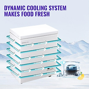 DEMULLER Chest Freezer, Small Deep 4.0 Cubic Feet White Freezing Machine, Compact Top Open Door with Electronic Panel, Temp Range -12 ℉ to 50 ℉, Two Storage Wire Baskets, Manual Defrost