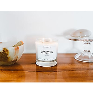 Evergreen & Eucalyptus Scented Candle, Soy Wax Candles for The Home Scented with Phthalate Free Oils, 3.5 x 3 inch, 8.8 oz, 37 Hour Burn Time Fall Candles & Home Decor in Glass Jar - Calyan Wax