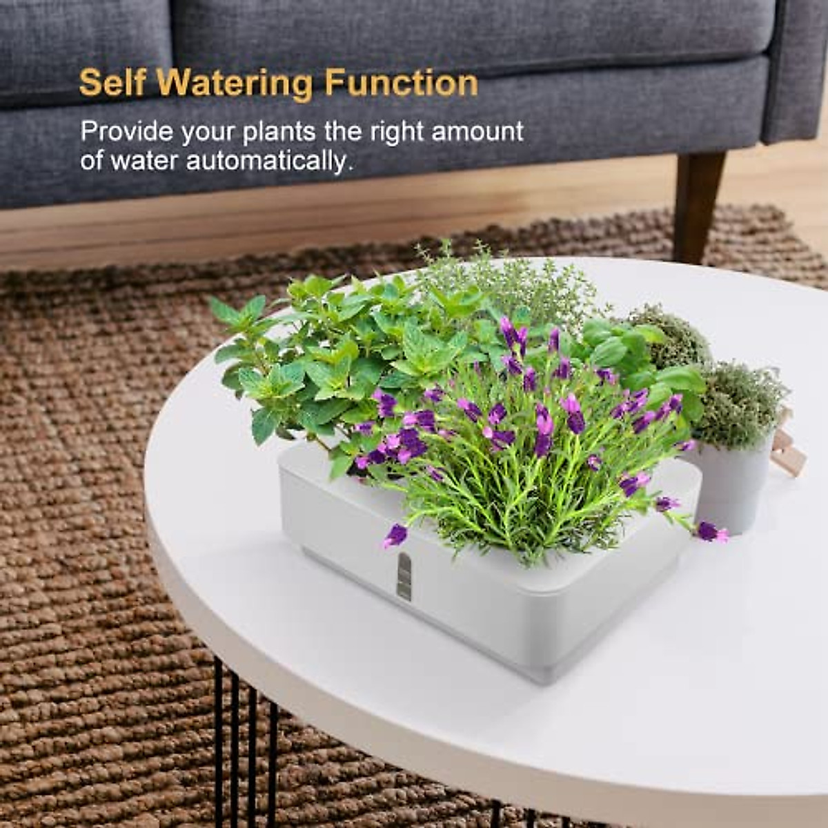 Indoor Herb Garden Gifts New Home Decor, Hydroponics Growing System, Herb Garden, Plant Germination Kit Aeroponic Herb Vegetable Growth Lamp Countertop with LED Grow Light Hydrophonic Planter Grower