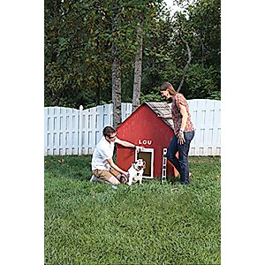 PetSafe Extreme Weather Energy Efficient Plastic Pet Door for Cats and Dogs - Large,White