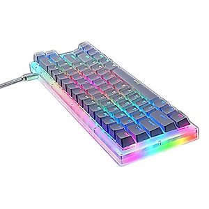 Womier 66 Key Custom Mechanical Keyboard Kit 65% 66 PCB CASE How swappable Switch Support Lighting Effects with RGB Switch led (Womier66 G Bluie x1)