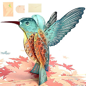 yfdshun 3D Card/Pop-Up Card,Lovely Hummingbird for Family and Friends Thank You Card, Birthday Card, Love Anniversaries and Valentine's Day Card