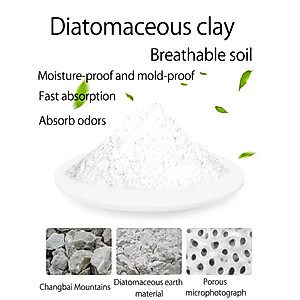 Rouly 5 Packs Diatom Drying Rod Stick Absorb Absorption Rod Desiccant Water Absorption Keep Dry Stick Deodorization Gift,Moisture-Proof Clothing, Repetition Use