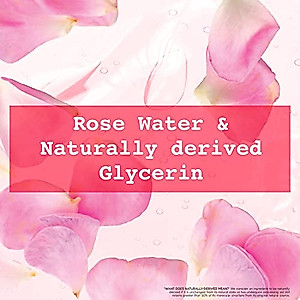 Carol's Daughter Wash Day Delight Water-to-Foam Sulfate Free Vegan Shampoo with Rose Water and Micellar Technology, Paraben Free, Silicone Free, Best for Kinky, Curly Hair, 16.9 fluid ounces