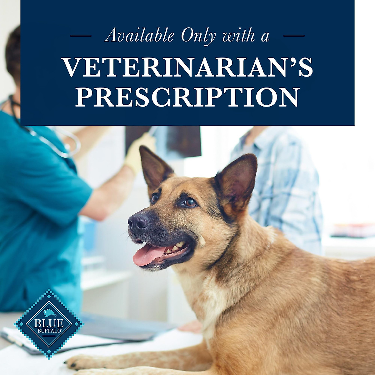 Blue Buffalo Natural Veterinary Diet HF Hydrolyzed for Food Intolerance Dry Dog Food, Veterinarian's Prescription Required, Salmon, 6-lb. Bag