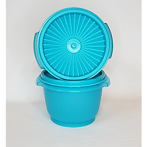 Tupperware New 20 Ounce Servalier Bowls (Set of 2)