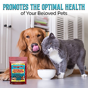 BodyBoost Bovine Colostrum for Dogs and Cats, Organic Immune Support Supplement for Allergy and Itch Relief, Grass Fed Colostrum Powder for Pets, Dog Gut Health, All Ages, 8 oz