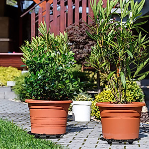 8Pcs Plant Stand Indoor Outdoor, Plant Level Pot Elevator- 2 Size Plant Riser Holder Plastic Floor Protector Plant Trivet, Heavy Planter Holder for Prevent Rot and Damage on Patio & Deck(7.9"&11.8" )