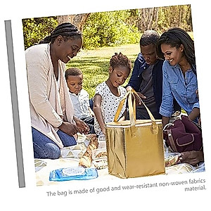 FONDOTIN Large Cooler Bag Insulated Lunch Cooler Bags Insulated Hot Bags Insulated Storage Bag Zipper Food Bag Food Warmer Bag Insulated Reusable Grocery Bags Golden Non-woven Fabric