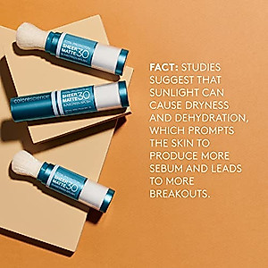 Colorescience Total Protection Sheer Matte SPF 30 Sunscreen Brush For Oily and Acne-Prone Skin, Unscented 0.15 Ounce