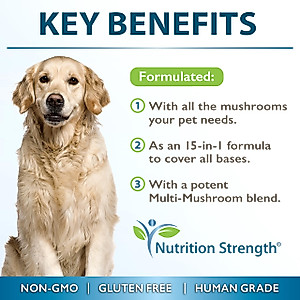 Nutrition Strength 15-in-1 Mushrooms for Dogs Turkey Tail 600mg Lion's Mane 600mg Reishi 600mg Shiitake 500mg Cordyceps 300mg Chaga 300mg Maitake 200mg Meshima Blazei Poria Enoki Portobello 90 Tablets