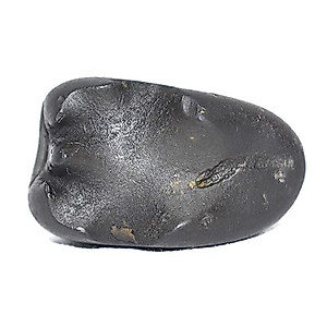 Rudrakshguru Hayagriva Shaligram - Gandaki River Nepal