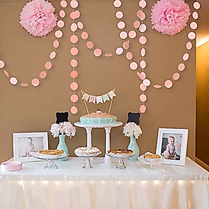 Cheerland Circle Dots Garland for Wedding Party Decorations Winter Wonderland Hanging Circle Streamers Dot Backdrop Backdrop Banner Decor for Bday Birthday Baby Shower Bachelorette (Pink)