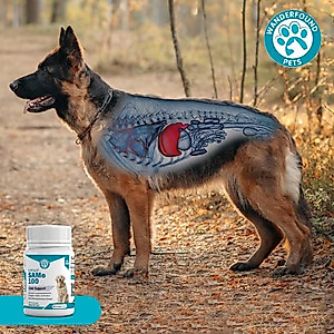 Wanderfound Pets Same 100 Liver Support for Dogs - Same S-Adenosyl-L-Methionine Hepatic Supplement for Liver & Brain Support - Bacon Flavored Sam E, Manufactured in The USA - 30 Chewable Tablets