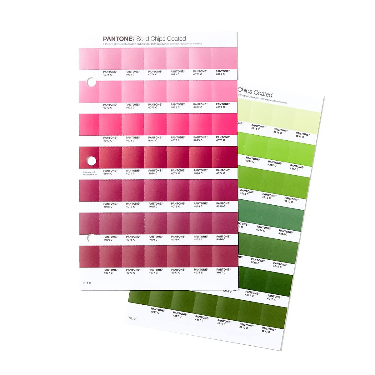 Pantone Solid Chips Coated & Uncoated | Shareable & Versatile Spot Color Chips for Graphics and Prints | GP1606B