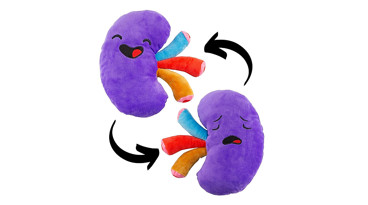 Attatoy Plush Kidney - Fun Get Well Gift