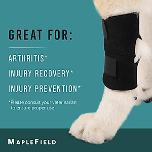 Maplefield - Dog Leg Brace - Rear Hock Hind Leg Support for Canines - Helps Promote Healing and Rehabilitation, Prevents Injuries, and Helps with Arthritis (XS)