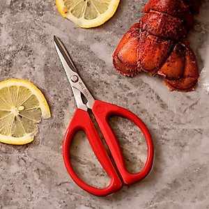 Joyce Chen Red Original Unlimited Kitchen Scissors Handles, Pack-1