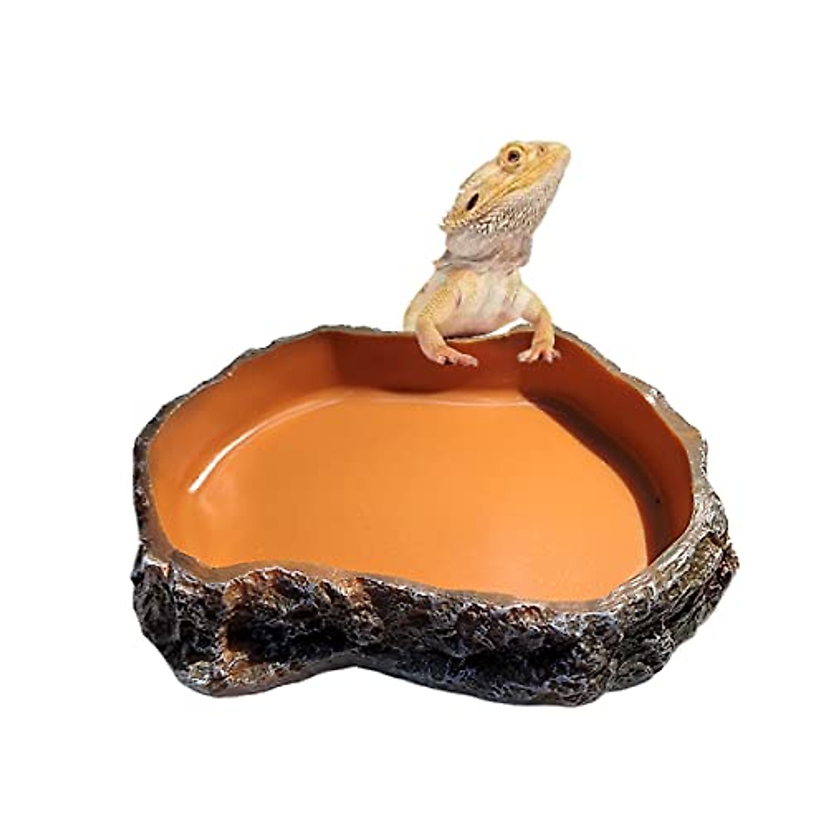RunXF Simulation Rock Reptile Feeding Bowls Resin Feeder Lizard Toad Tortoise Hedgehog Habitat Accessories Terrarium Tank Ornament Water Food Dish,5.5 x 3.7 x 1.2inches (Medium)