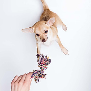 Daily Oral Care Chews Dental Dog Treats - Mini Snacks for Small Breeds (58 Count) - Plus Rope Toy and Fun Animal Facts Booklet Bundle