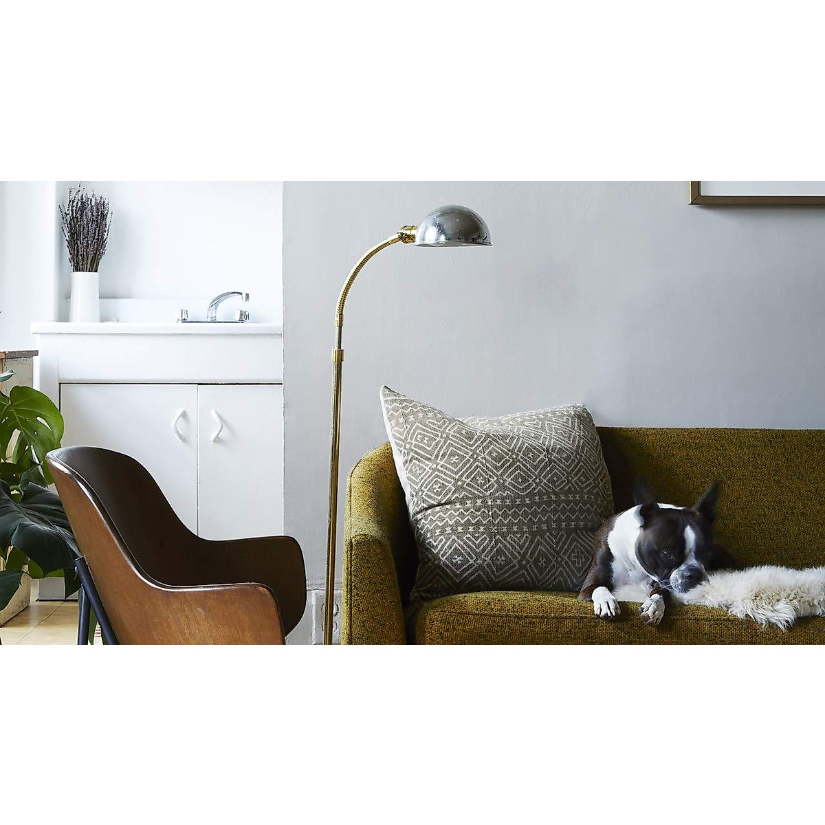 Capture Carpet & Rug Dry Cleaner w/ Resealable lid - Home, Car, Dogs & Cats Pet Carpet Cleaner Solution - Strength Odor Eliminator, Stains Spot Remover, Non Liquid & No Harsh Chemical (4 Pound)