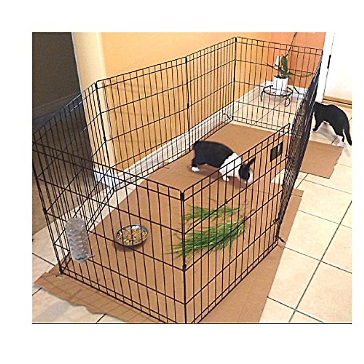 Bunny Rabbit Pen Exercise Indoor 41-Inch with Door House Pet Dog 8 Panel Gate Yard Enclosure X Pen Xpen Fence Playpen & by OISTRIA