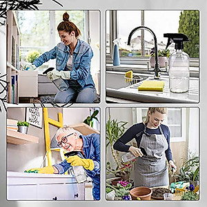 Worldgsb Glass Spray Bottles, 16oz Refillable Containers, Empty Boston Round Bottles with Labels & Adjustable Nozzle for Cleaning, Gardening, Aromatherapy, Pets, Plant, Hair -Clear (1 Pack)