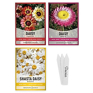 Daisy Seeds for Planting Outdoors Flower Seeds (3 Variety Pack) Alaska Shasta Daisy, Painted Daisy, Yellow Daisy Varieties for Butterflies, Bees, Pollinators Wildflower Seed by Gardeners Basics