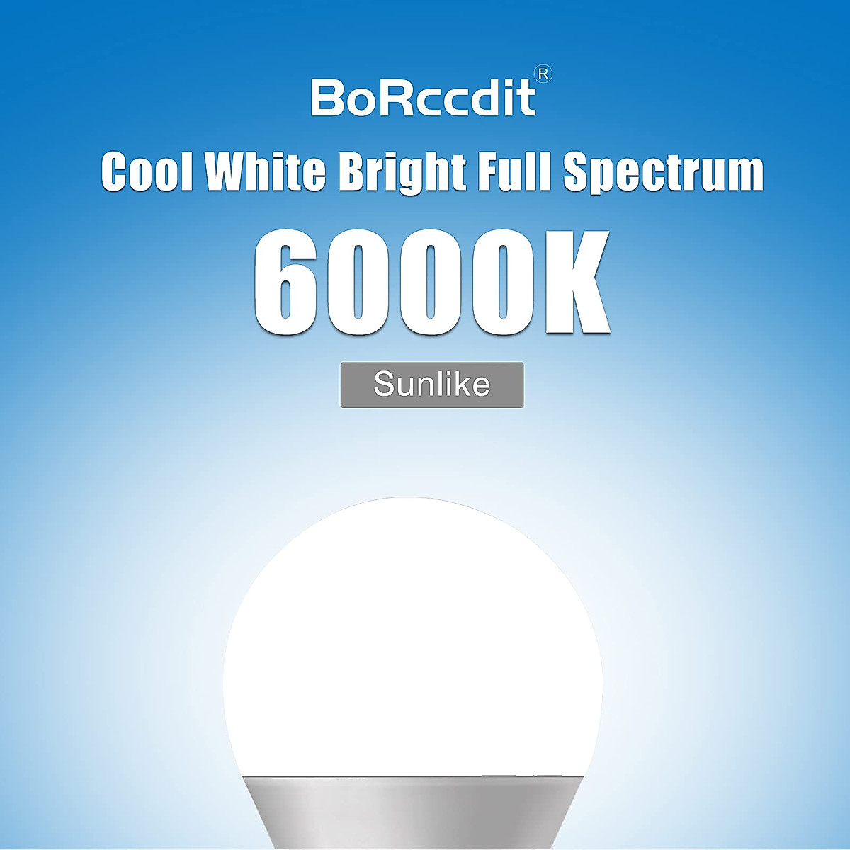 BoRccdit Full Spectrum Light Bulb 4PK, 6000K Natural Sunlight Bulbs, Bright Light Bulbs 9W 60W Equivalent, Cool White Comfortable Light, A19, E26/E27