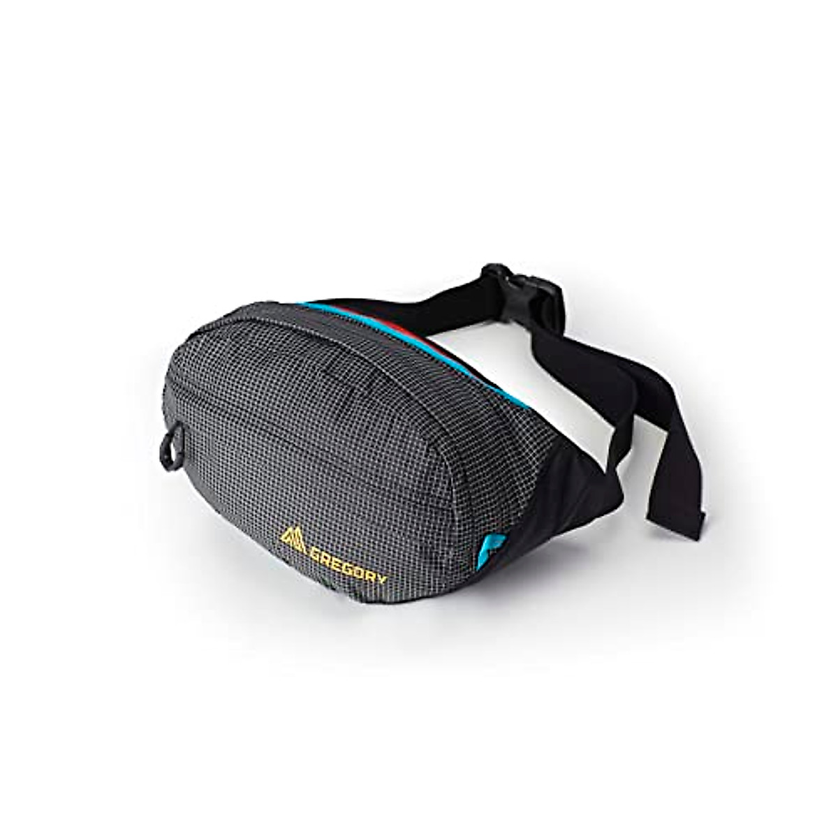 Gregory Mountain Products Nano WAISTPACK