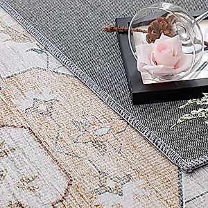 DECOMALL Ariel Area Rug 5x7, Orange Traditional Rug, Bohemian Carpet for Bedroom Living Room Dining Room, Orange 5’x7’