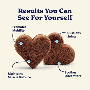 Origin Labs - Revive Mobility Hip & Joint Support Beef Soft Chews for Dogs | Glucosamine Chondroitin MSM & Green Lipped Mussels | Grain & Corn Free, 90 Count