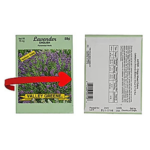 Set of 100 Assorted Valley Green Flower Seed Packets! Flower Seeds in Bulk - 20+ Varieties Included