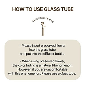 COCODOR Preserved Real Flower Reed Diffuser/April Breeze / 6.7oz(200ml) / 1 Pack/Reed Diffuser Set, Oil Diffuser & Reed Diffuser Sticks, Home Decor & Office Decor, Fragrance and Gifts