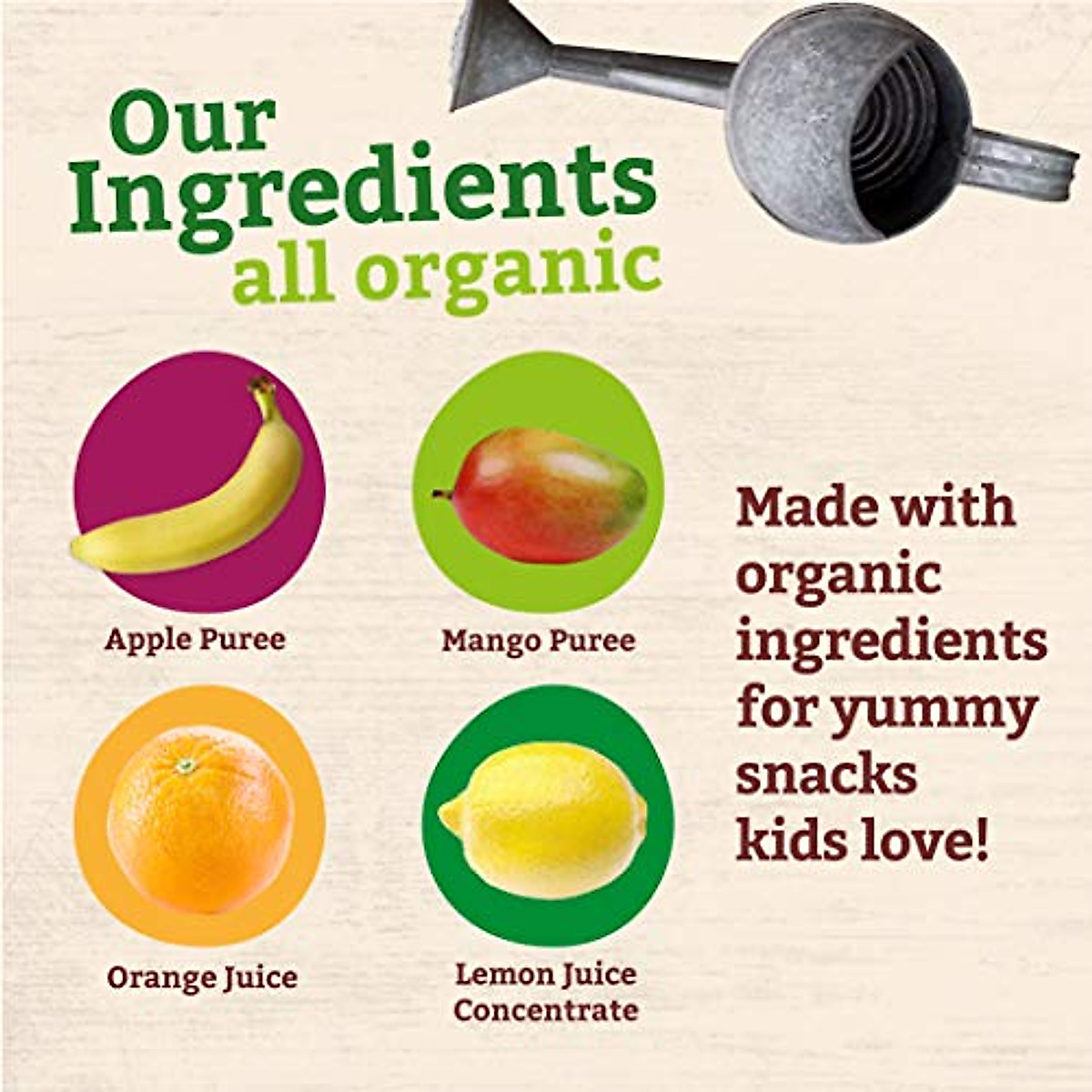 Pumpkin Tree Peter Rabbit Organics Mango, Banana and Orange Snacks, 4 Oz (Pack of 10)